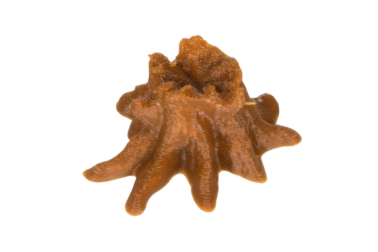 Stump (4) – The Broken Token